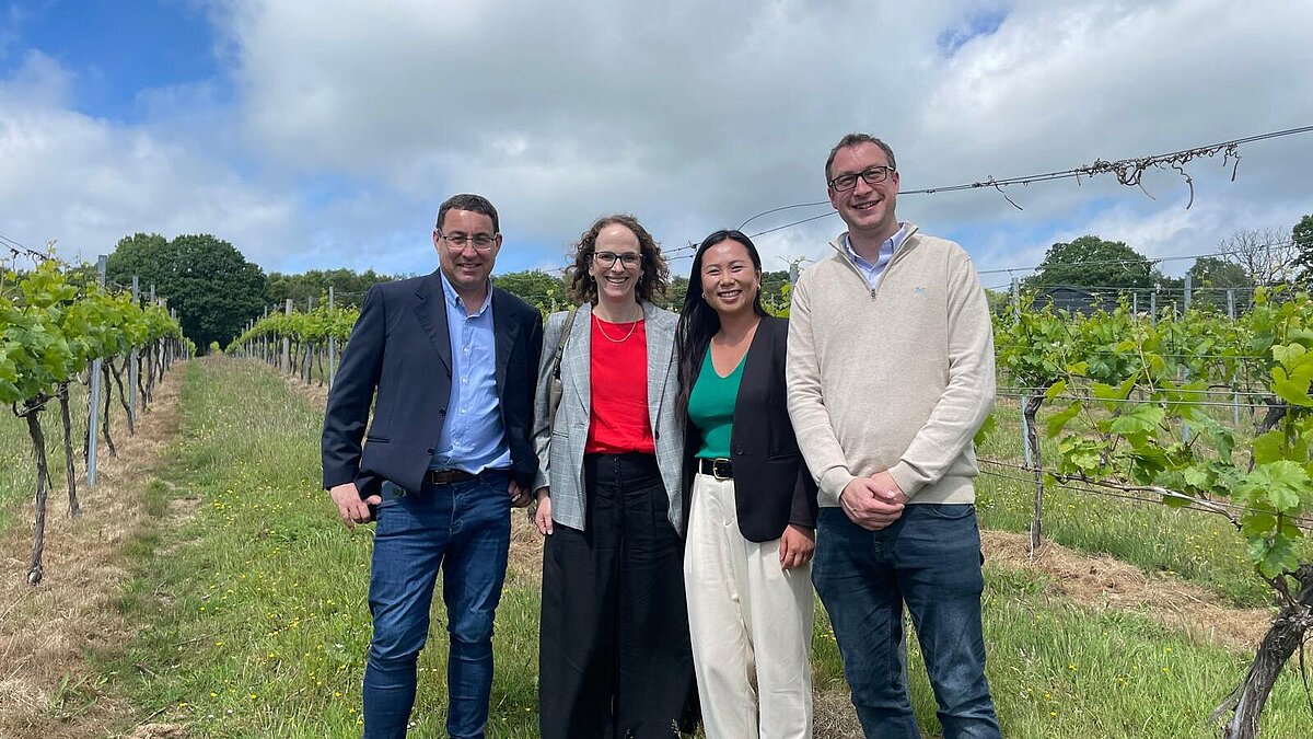 Bolney Wine Estate: a sparkling gem in the heart of Mid Sussex - Mid ...